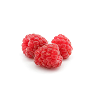 Gerds - Fruiteries Saus